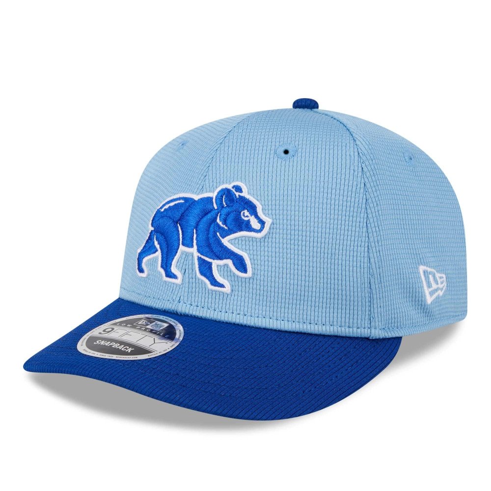 Chicago Cubs - 2024 Spring Training Low Profile 9Fifty MLB Hat - Size ...